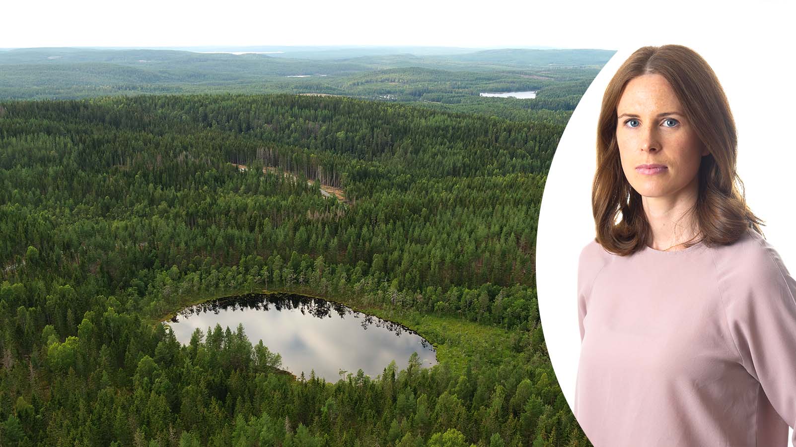 What is the best way to fight deforestation? - Swedish Forest ...